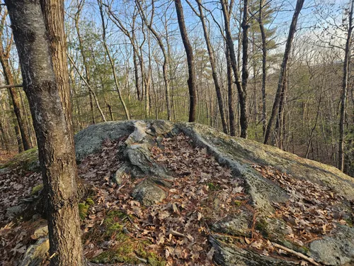 Best Hikes and Trails in Townsend State Forest | AllTrails