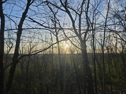 Best Hikes and Trails in Townsend State Forest | AllTrails