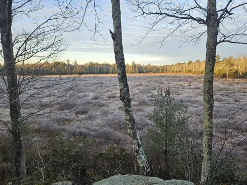 Best Hikes and Trails in Townsend State Forest | AllTrails