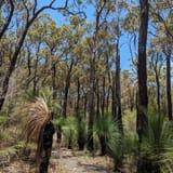 Mount French Lookout Circuit, Queensland, Australia - 99 Reviews, Map ...