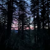 Hardesty Mountain Trail, Oregon - 322 Reviews, Map | AllTrails