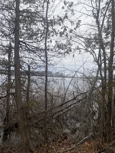 Best Hikes and Trails in Maplehurst Natural Area | AllTrails