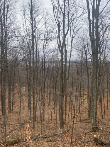 Best Hikes and Trails in Maplehurst Natural Area | AllTrails