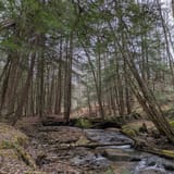 Morrison Trail, Pennsylvania - 225 Reviews, Map | AllTrails