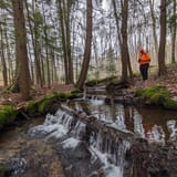 Morrison Trail, Pennsylvania - 225 Reviews, Map | AllTrails