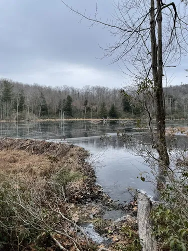 Best Hikes and Trails in Bob's Way Reserve | AllTrails