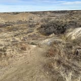 Jackson Lake Trail, New Mexico - 73 Reviews, Map | AllTrails
