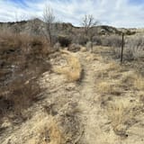 Jackson Lake Trail, New Mexico - 68 Reviews, Map | AllTrails