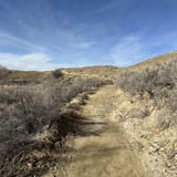 Jackson Lake Trail, New Mexico - 68 Reviews, Map | AllTrails