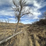 Jackson Lake Trail, New Mexico - 73 Reviews, Map | AllTrails