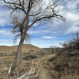 Jackson Lake Trail, New Mexico - 73 Reviews, Map | AllTrails