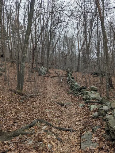 Best Hikes and Trails in Blackledge Falls Town Park | AllTrails