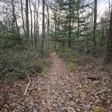 Appalachian Trail, Hosack Run, and Locust Gap Loop, Pennsylvania - 452 ...