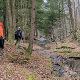 Morrison Trail, Pennsylvania - 225 Reviews, Map | AllTrails