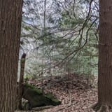 Morrison Trail, Pennsylvania - 225 Reviews, Map | AllTrails