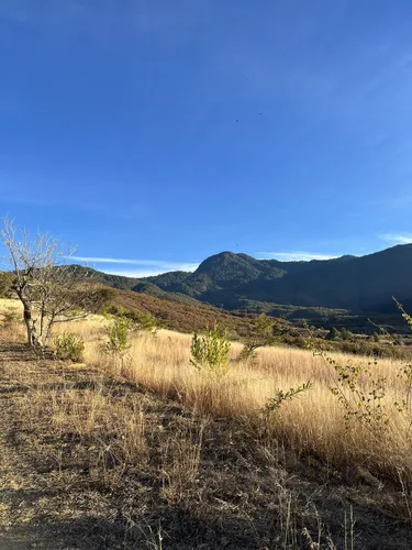 Best Hikes and Trails in Benito Juárez National Park | AllTrails