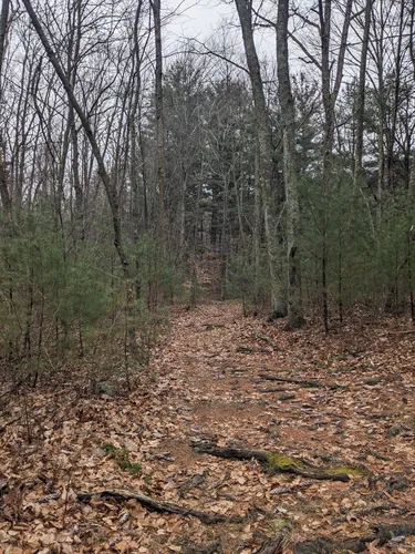 Best Hikes and Trails in Blackledge Falls Town Park | AllTrails