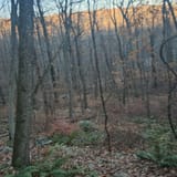 Mountain Way White Trail Loop, New Jersey - 153 Reviews, Map | AllTrails