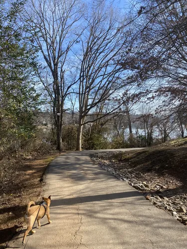 Best Hikes and Trails in Lakeshore Park | AllTrails