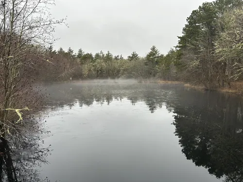 Best Hikes and Trails in Simmons Mill Pond Management area | AllTrails