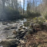 South Toe River Loop Trail, North Carolina - 431 Reviews, Map | AllTrails