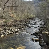 South Toe River Loop Trail, North Carolina - 431 Reviews, Map | AllTrails