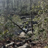 South Toe River Loop Trail, North Carolina - 431 Reviews, Map | AllTrails