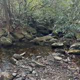 South Toe River Loop Trail, North Carolina - 431 Reviews, Map | AllTrails