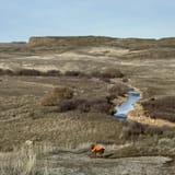 Towell Falls from Escure Ranch, Washington - 207 Reviews, Map | AllTrails