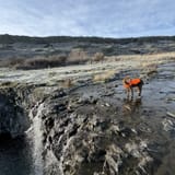 Towell Falls from Escure Ranch, Washington - 207 Reviews, Map | AllTrails