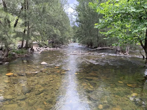 Best Hikes and Trails in Cotter River | AllTrails