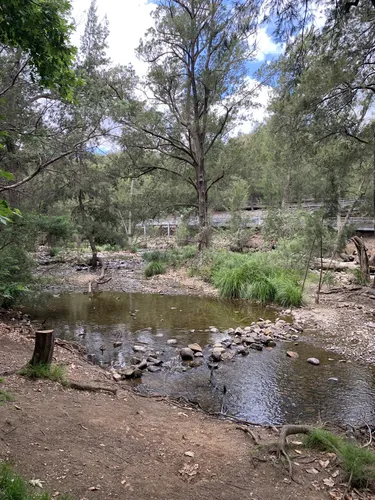 Best Hikes and Trails in Cotter River | AllTrails