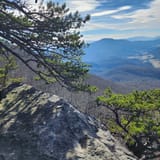 Tinker Cliffs via Andy Layne Trail, Virginia - 1,550 Reviews, Map ...