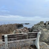 Marginal Way, Maine - 1,563 Reviews, Map | AllTrails