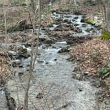 Paulinskill Valley Rail Trail , New Jersey - 132 Reviews, Map | AllTrails