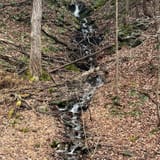 Paulinskill Valley Rail Trail , New Jersey - 163 Reviews, Map | AllTrails