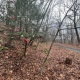 Paulinskill Valley Rail Trail , New Jersey - 136 Reviews, Map | AllTrails