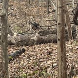 Paulinskill Valley Rail Trail , New Jersey - 136 Reviews, Map | AllTrails