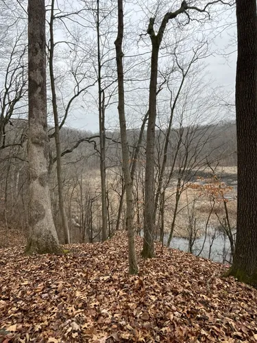 Best Hikes and Trails in Johnsonburg Swamp Preserve | AllTrails