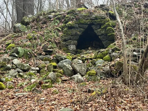 Best Hikes and Trails in Johnsonburg Swamp Preserve | AllTrails