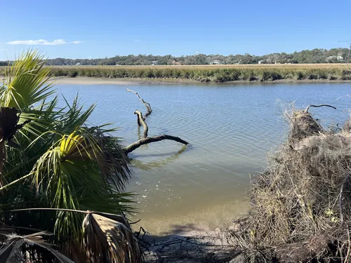 Best Hikes and Trails in Cannon’s Point Preserve | AllTrails