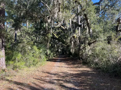 Best Hikes and Trails in Cannon’s Point Preserve | AllTrails