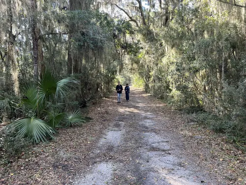 Best Hikes and Trails in Cannon’s Point Preserve | AllTrails