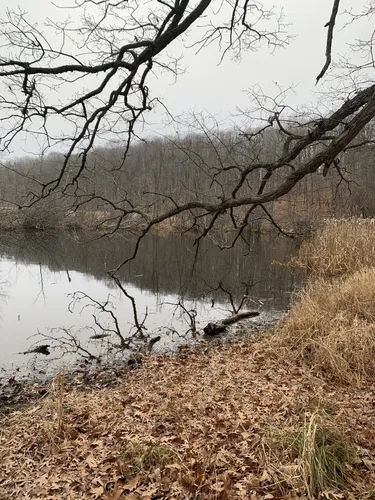 Best Hikes and Trails in Ridge Run County Park | AllTrails