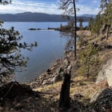 Tubbs Hill, Idaho - 3,854 Reviews, Map | AllTrails