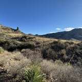 Soledad Canyon Loop, New Mexico - 1,176 Reviews, Map | AllTrails