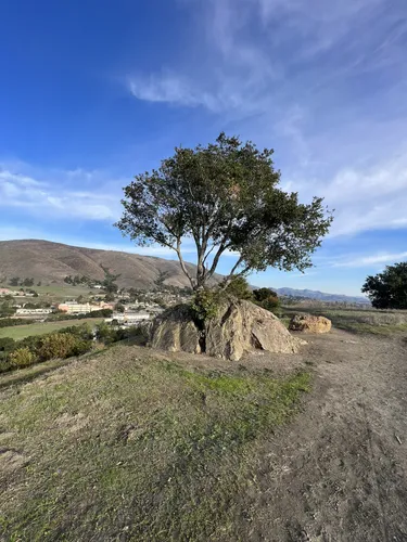 Best 10 Hiking Trails in Terrace Hill Open Space | AllTrails