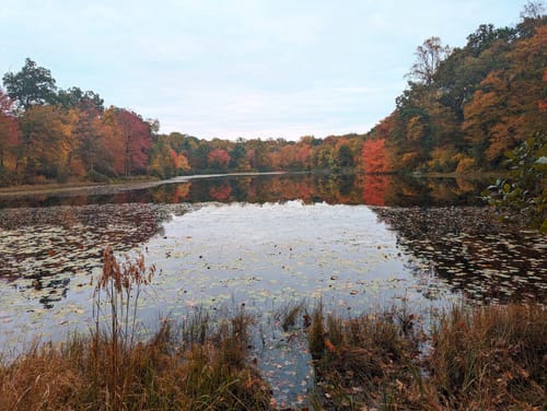 Best Hikes and Trails in Day Pond State Park | AllTrails