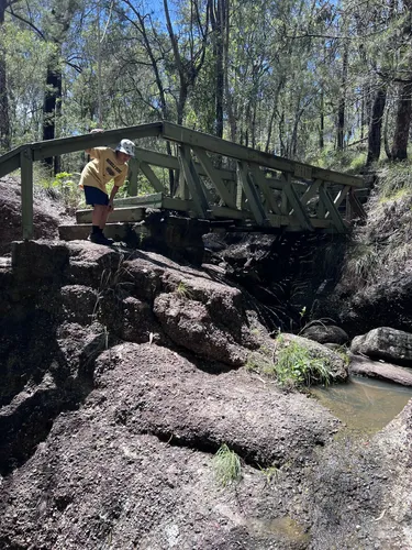 Best Hikes and Trails in Springwood Conservation Park | AllTrails