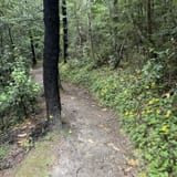 Dog Stream Waterfall via Waterfall Track, Canterbury, New Zealand - 146 ...